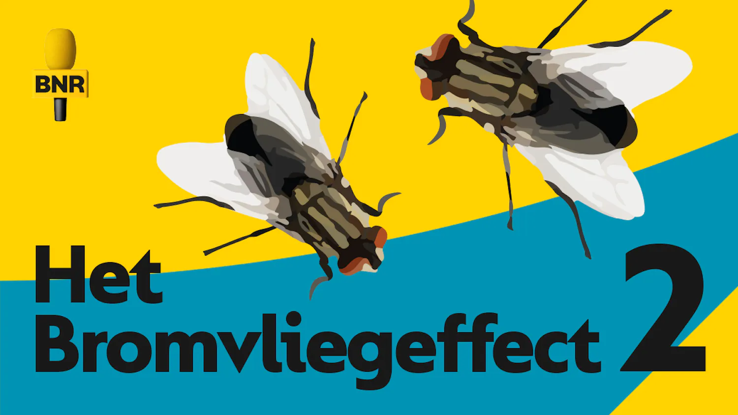 Het Bromvliegeffect | BNR Nieuwsradio