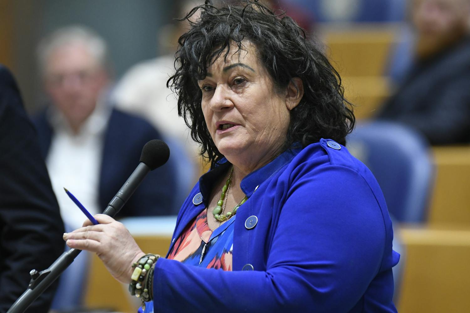 Caroline van der Plas wil grenzen stellen aan Jodenhaat | BNR Nieuwsradio