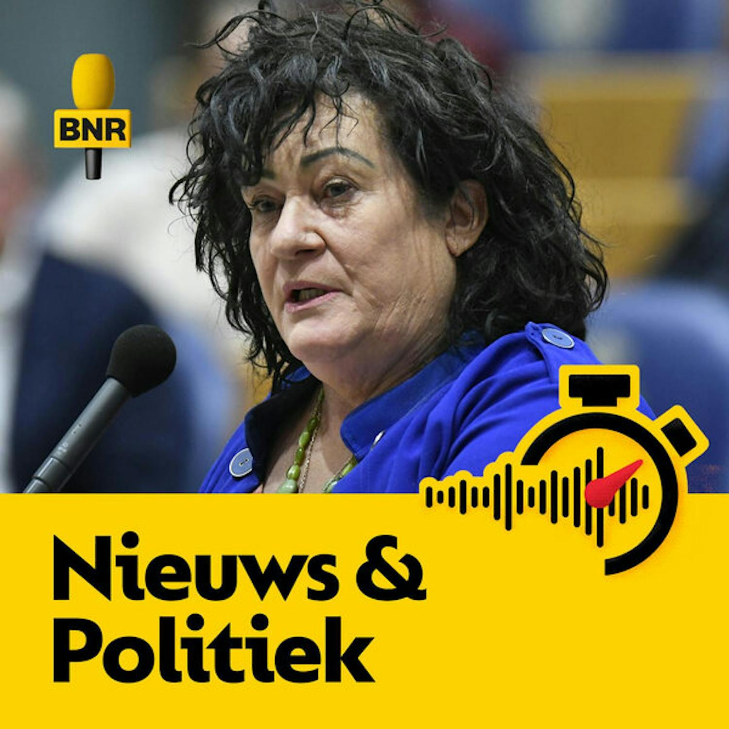 Caroline van der Plas wil grenzen stellen aan Jodenhaat | BNR Nieuwsradio
