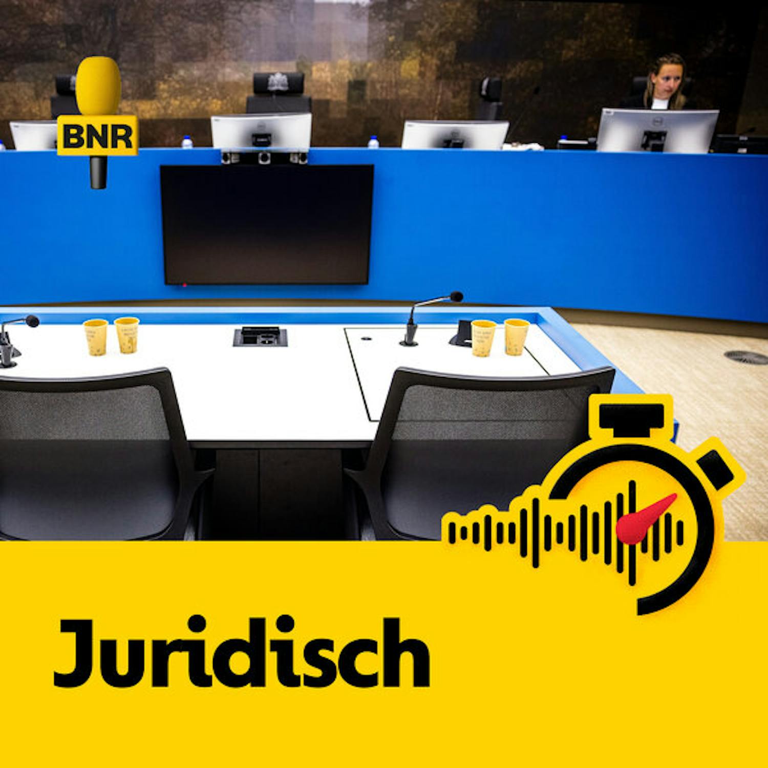 AI-advocatenkantoor zonder advocaten ‘op korte termijn mogelijk’ | BNR Nieuwsradio