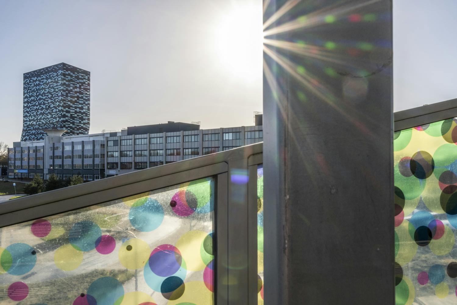 Topvrouw Wingtech dreigt Nederland met schadeclaim van 8 miljard dollar ...