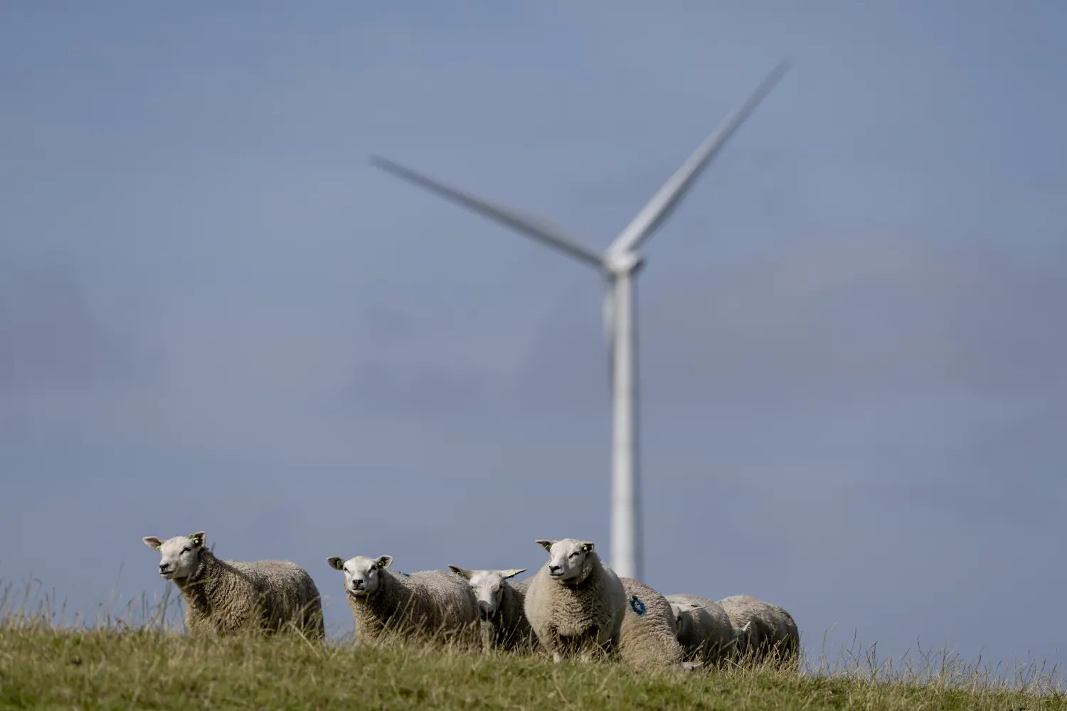 Aandelen groene energie in trek door Iranoorlog en hoge stroombehoefte ...