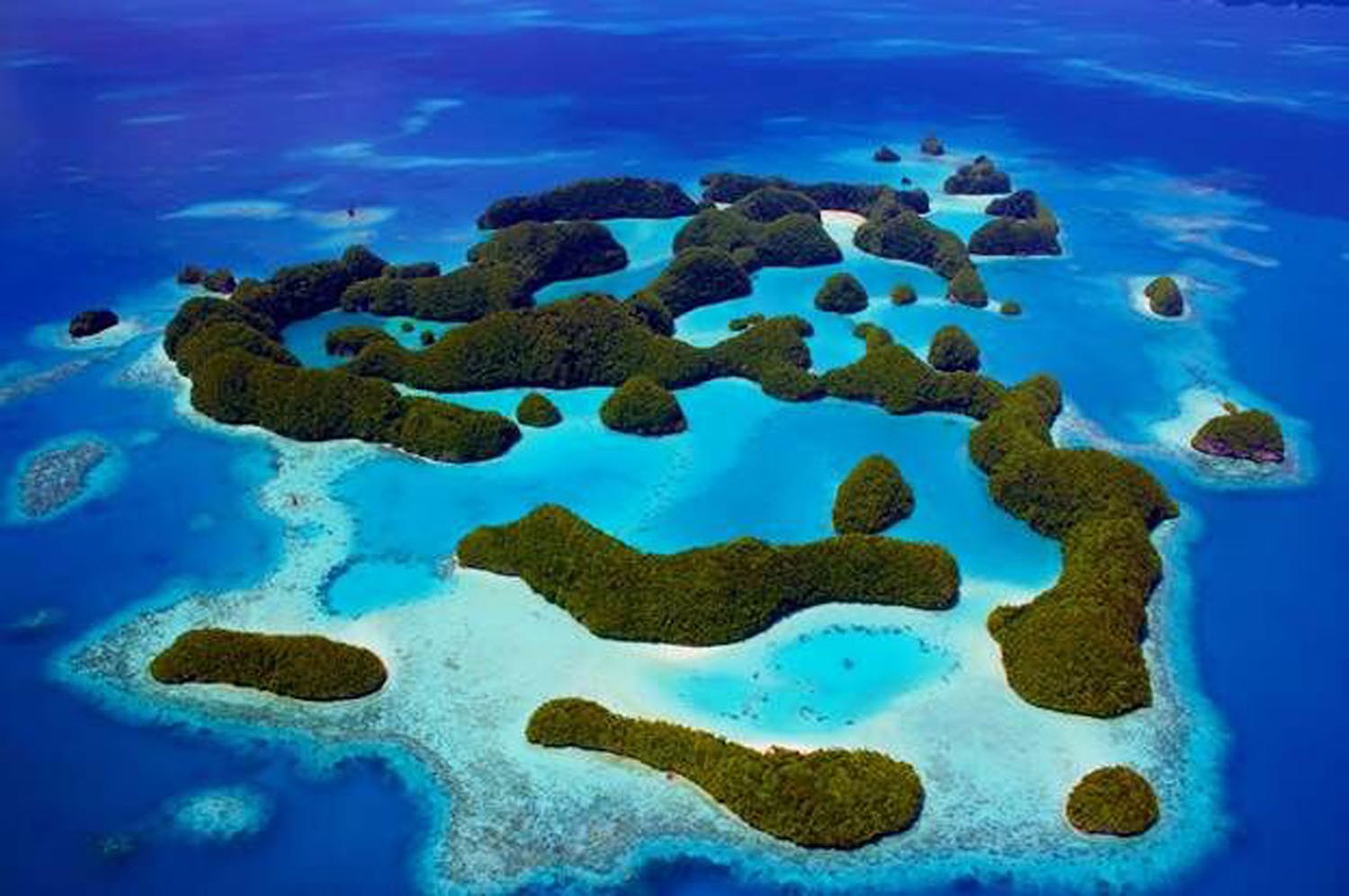 'Palau Pledge' succesvolste campagne | BNR Nieuwsradio