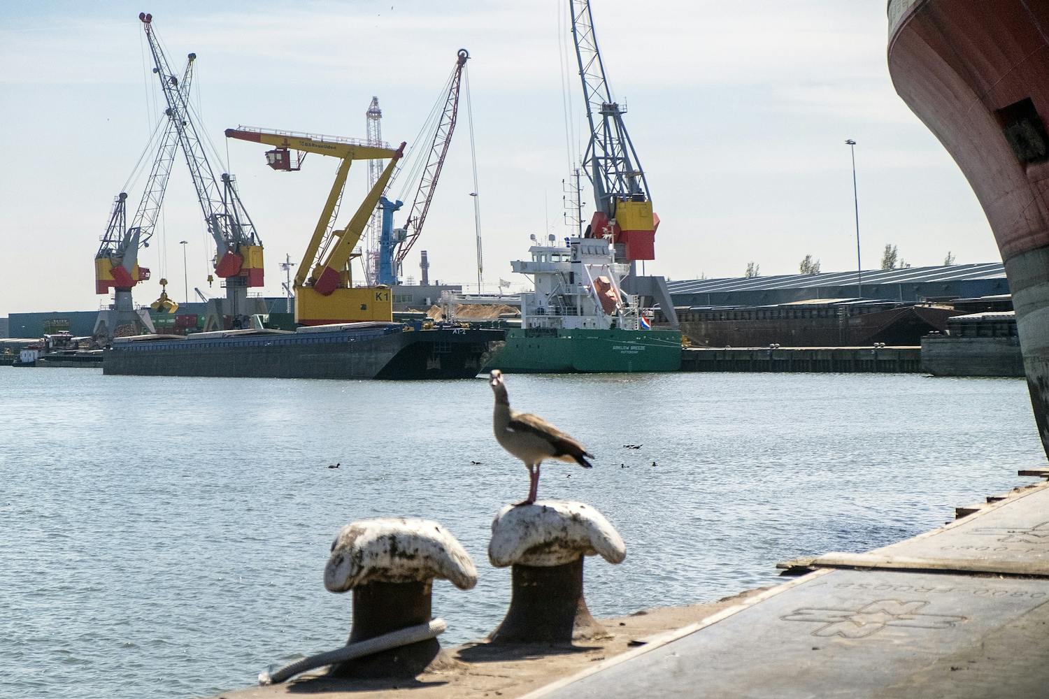 Nederlandse economie kromp met 0,7 procent in eerste kwartaal | BNR Nieuwsradio