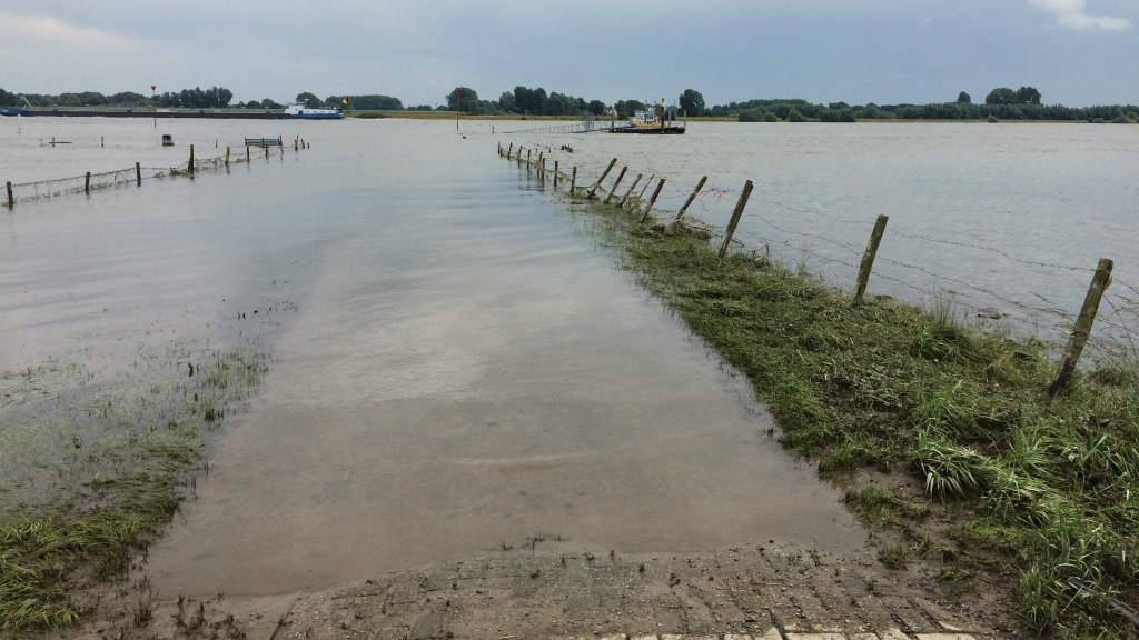 'Dit tref je normaal in januari of februari' | BNR Nieuwsradio
