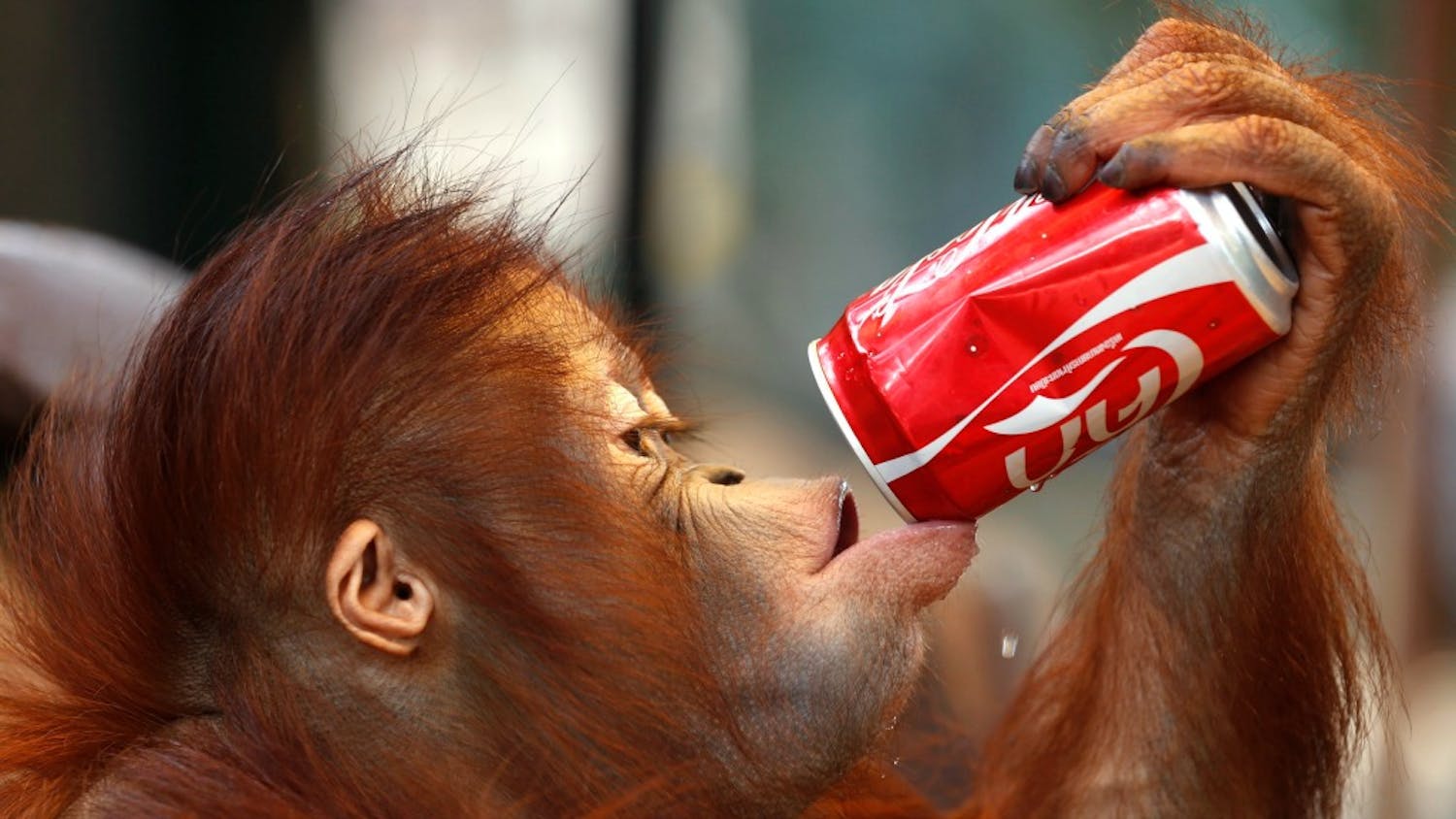 'Consument moet weerbaarder worden om juiste keuzes te maken' | BNR ...