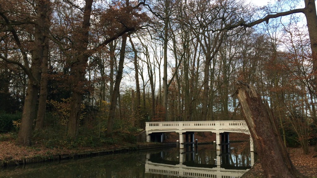 Amelisweerd vestigt hoop op Haagse PvdA | BNR Nieuwsradio