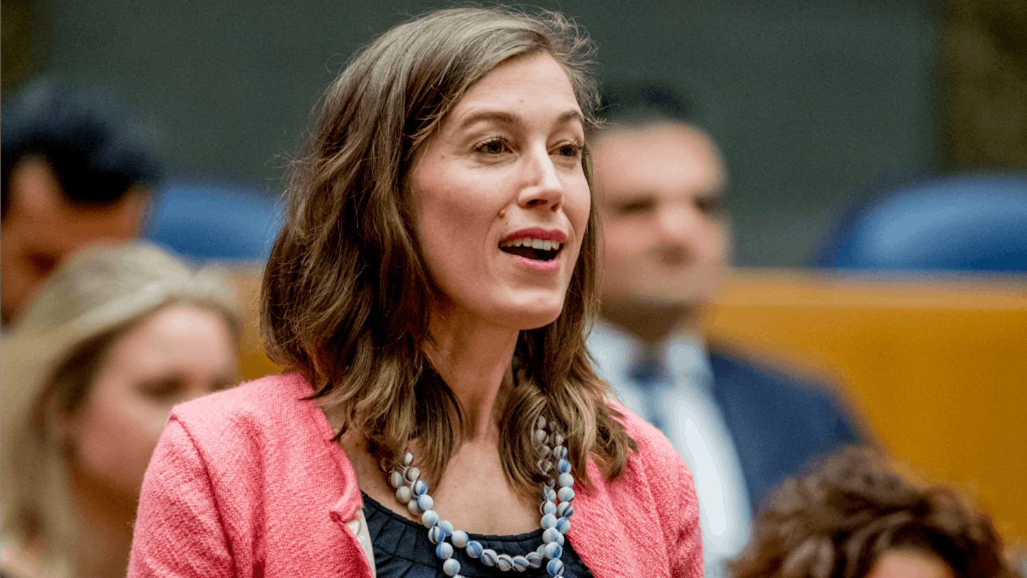 BNR introduceert Kamerleden: Corinne Ellemeet | BNR Nieuwsradio