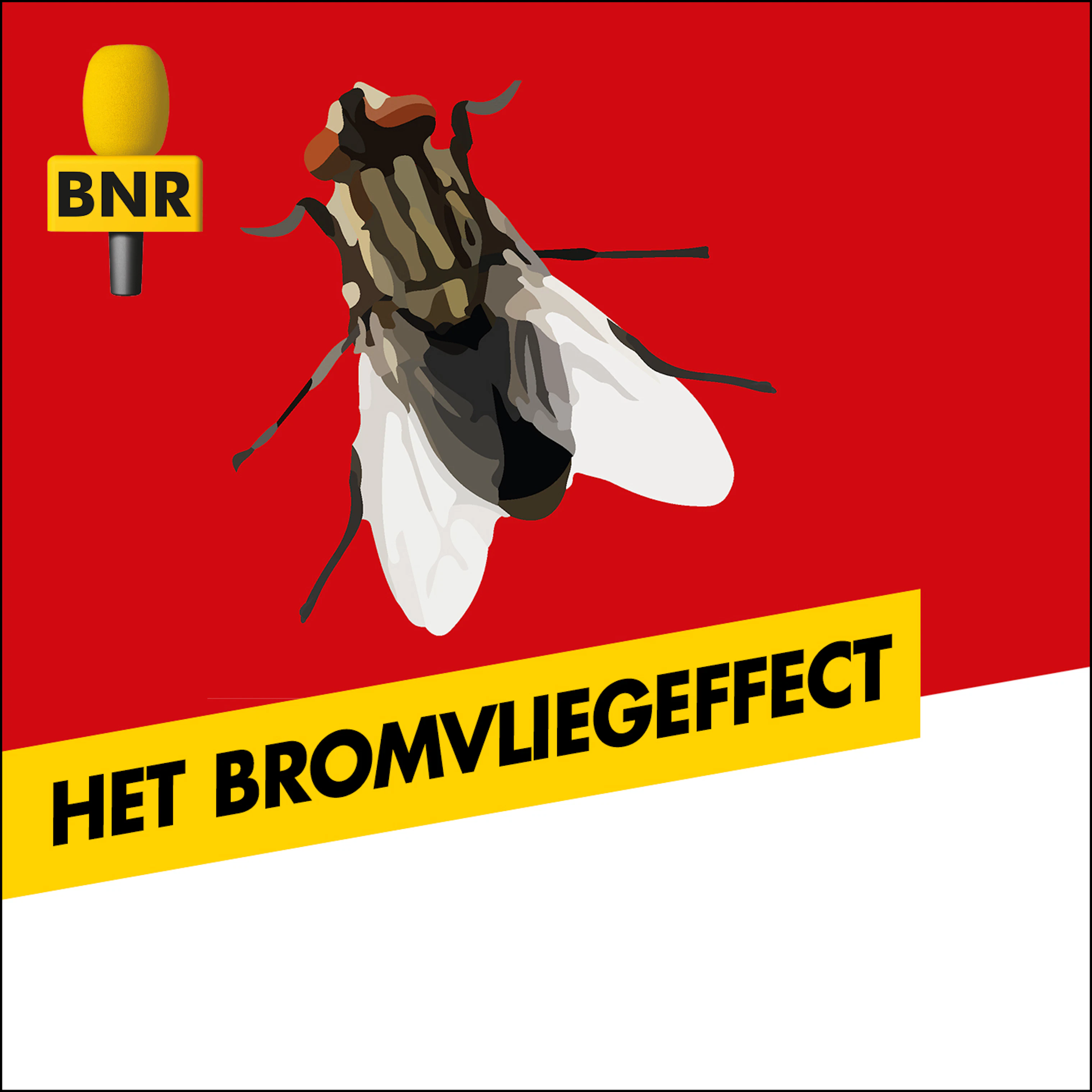 Het Bromvliegeffect | BNR Nieuwsradio