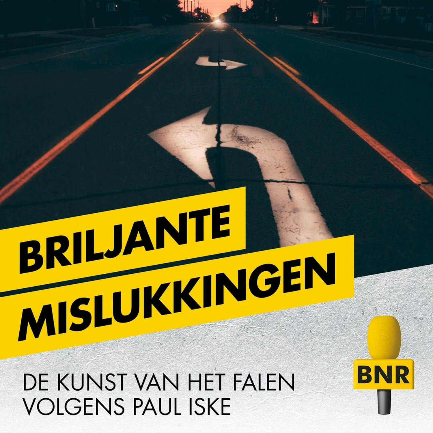 Briljante mislukking: overheid en ICT | BNR Nieuwsradio